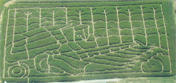 Cornucopia Farm Attractions - Southern Indiana