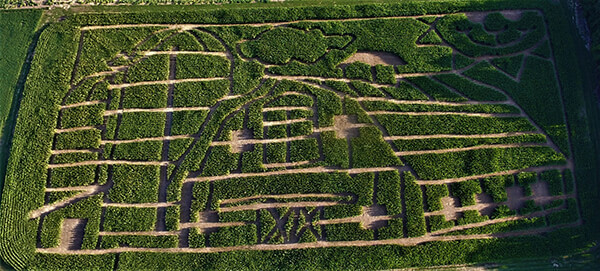 Cornucopia Farm Attractions - Southern Indiana