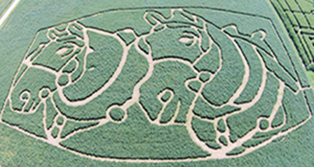 Cornucopia Farm Attractions - Southern Indiana