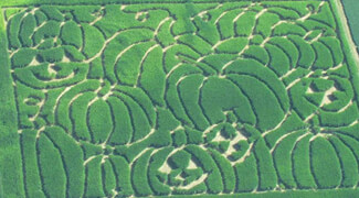 Cornucopia Farm Attractions - Southern Indiana