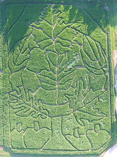 Cornucopia Farm Attractions - Southern Indiana