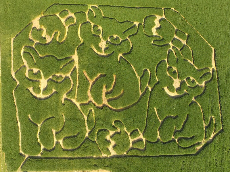 Cornucopia Farm Attractions - Southern Indiana